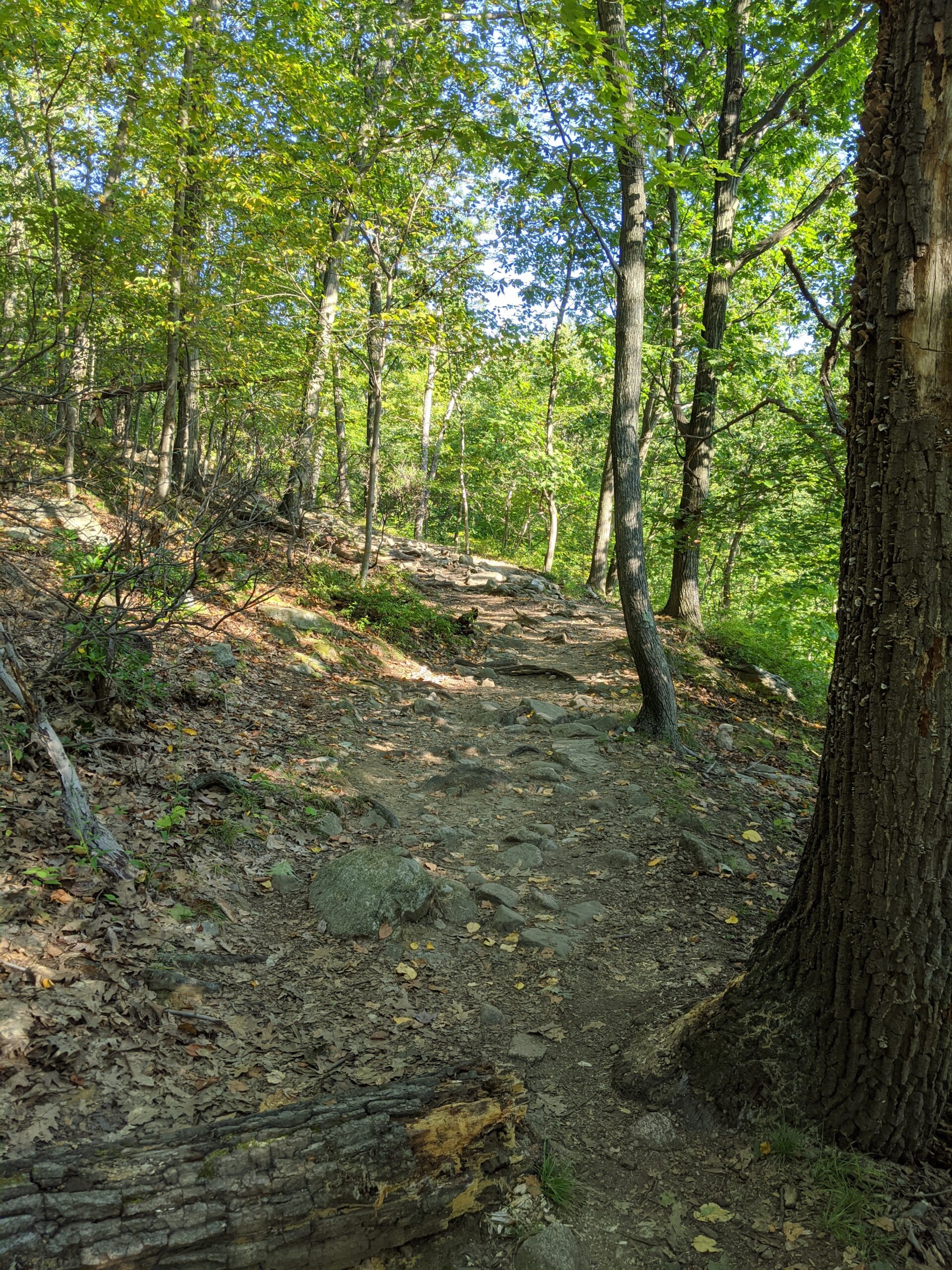 Bear Mountain State Park - Hessian Lake, Major Welch Trail, Perkins ...