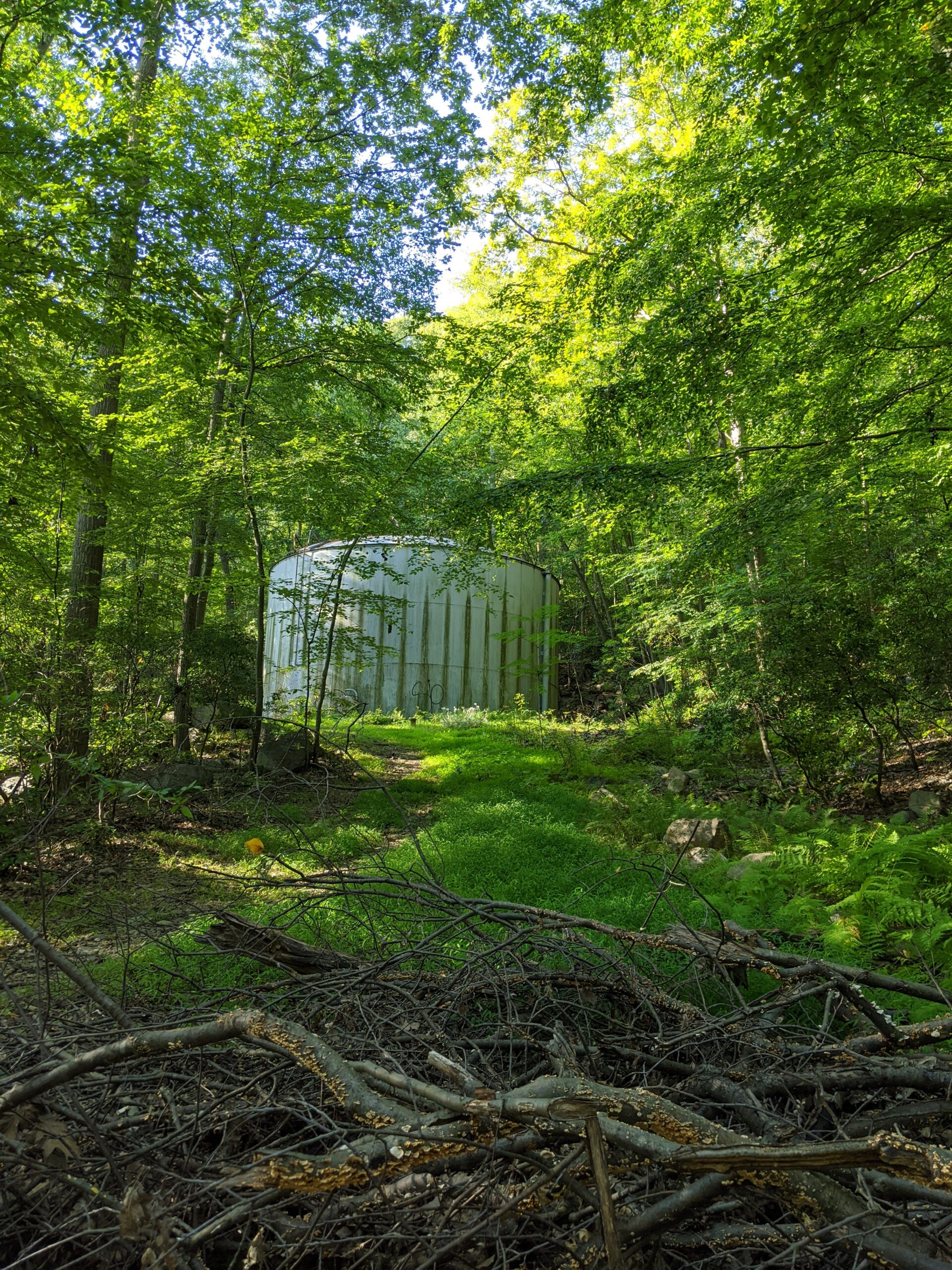 Bear Mountain State Park - Hessian Lake, Major Welch Trail, Perkins ...