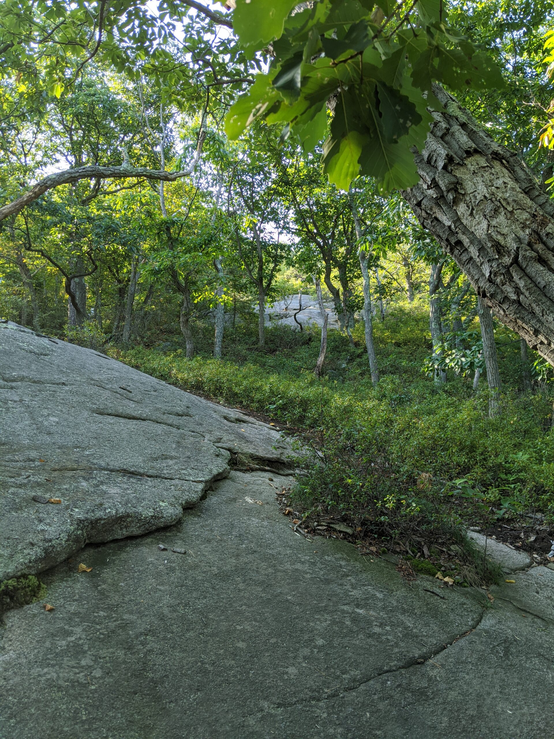 Bear Mountain State Park - Hessian Lake, Major Welch Trail, Perkins ...