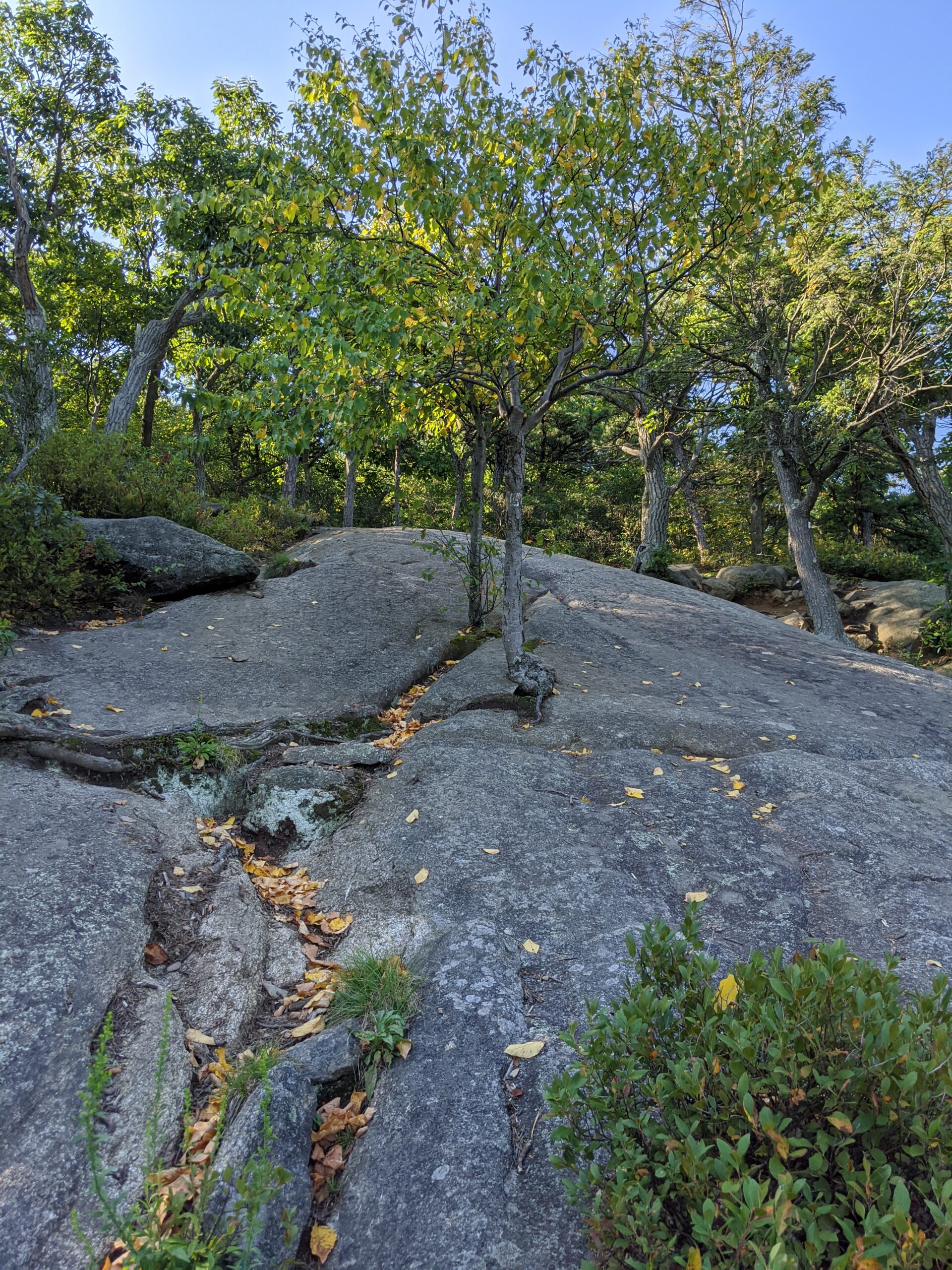 Bear Mountain State Park - Hessian Lake, Major Welch Trail, Perkins ...